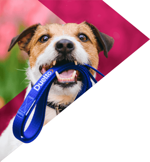 Is RMS Technology Actually Holding Hotels Back?