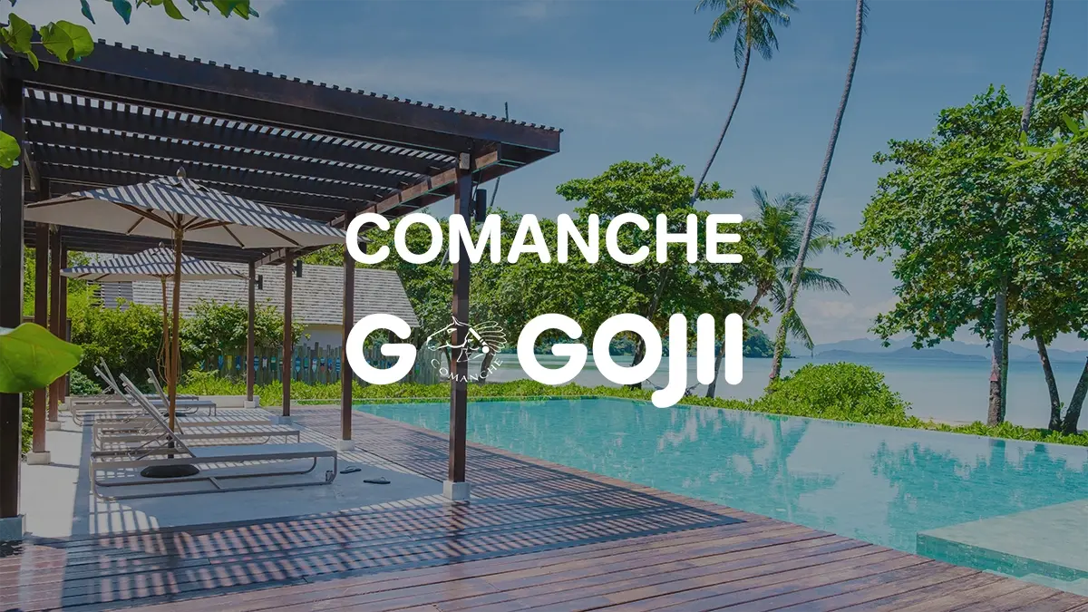 Duetto and Comanche Gogoji announce integration | Duetto